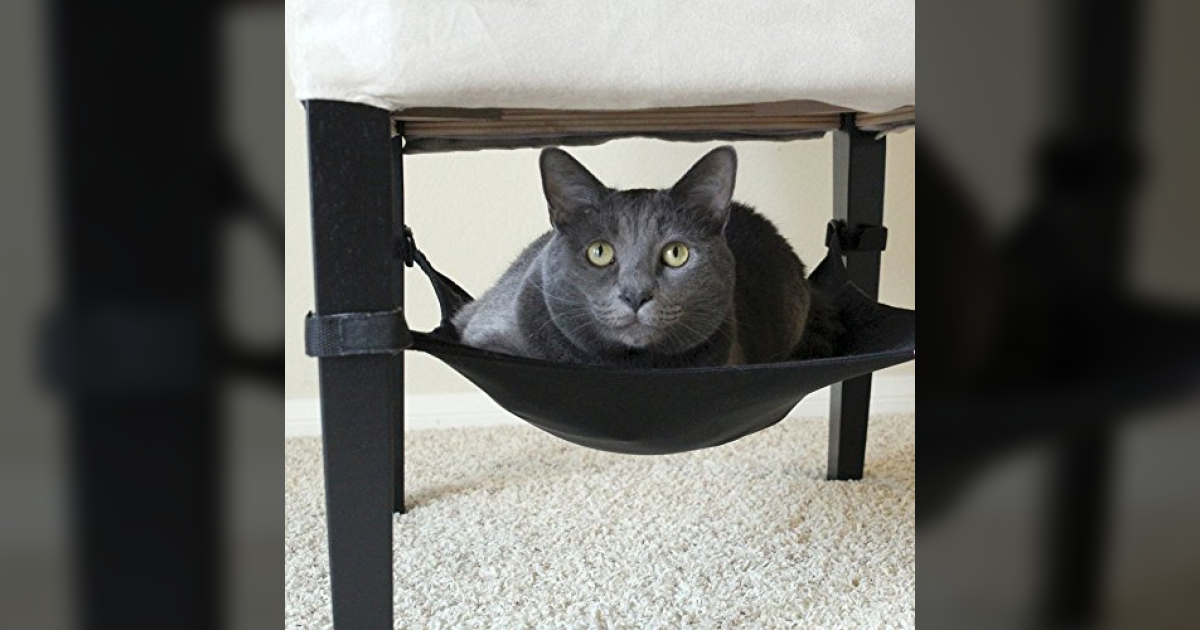 Space Saver: Cat Crib Converts Your Chairs to Cat Beds!