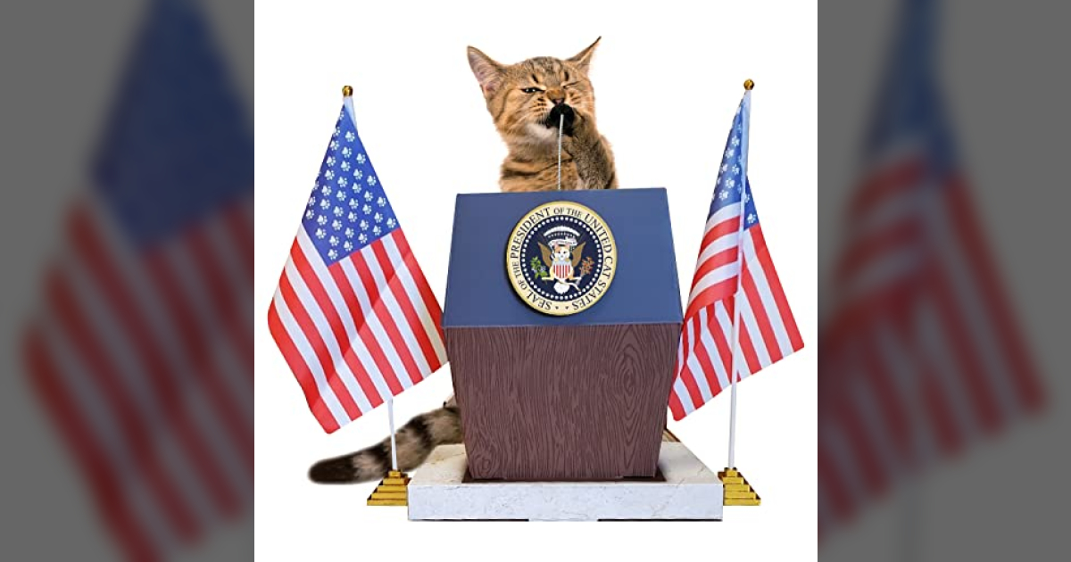 Get Ready for This Week's VP Debate With Funny Cat Scratcher