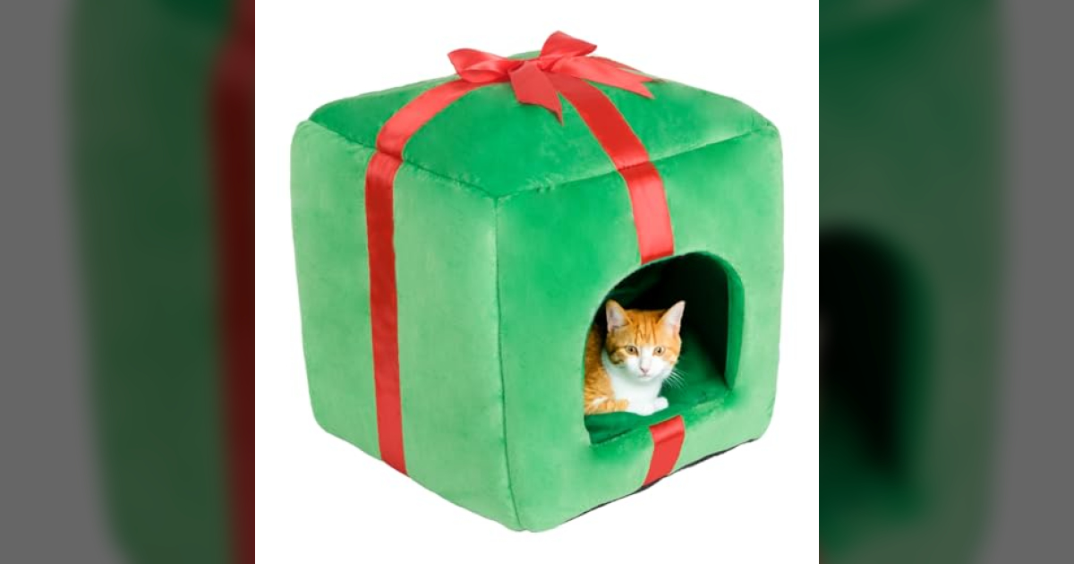 The Purr-fect Holiday Gift for Your Feline Loving Friend