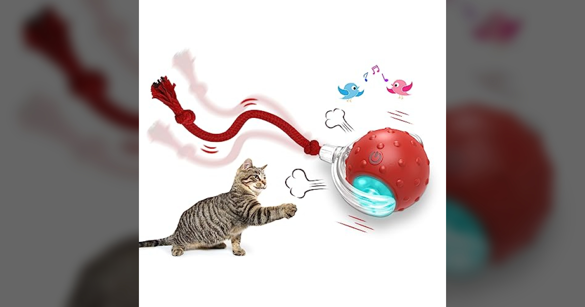 This Rolling Toy Turns Your Floor into a Feline Racetrack